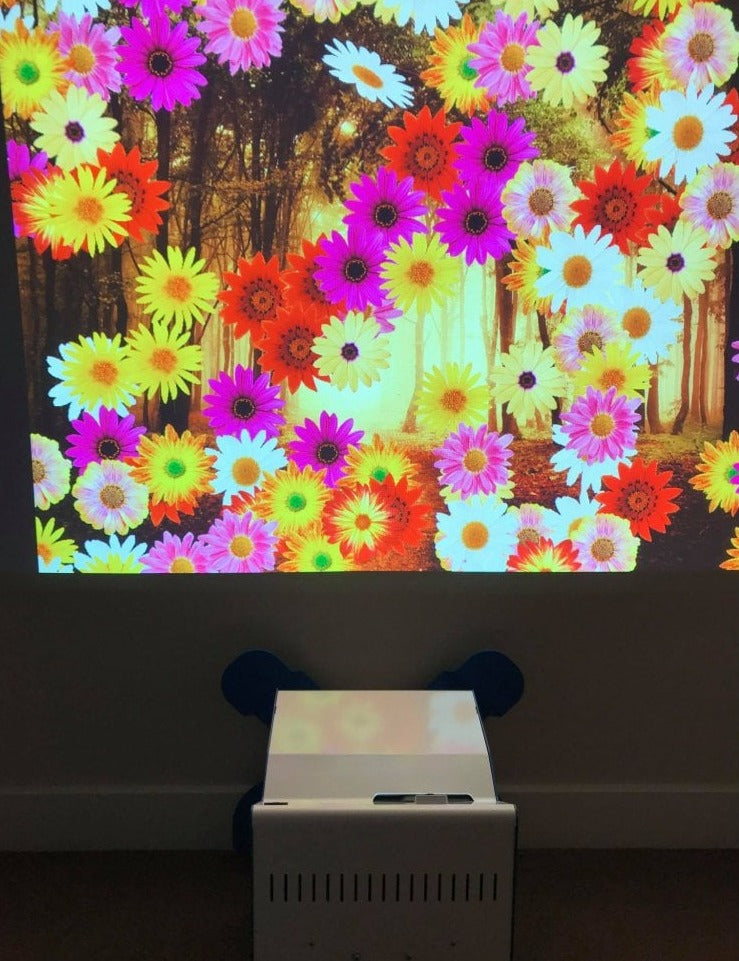 SENse Flex+ | Height Adjustable Projector with Gesture Wall Projection